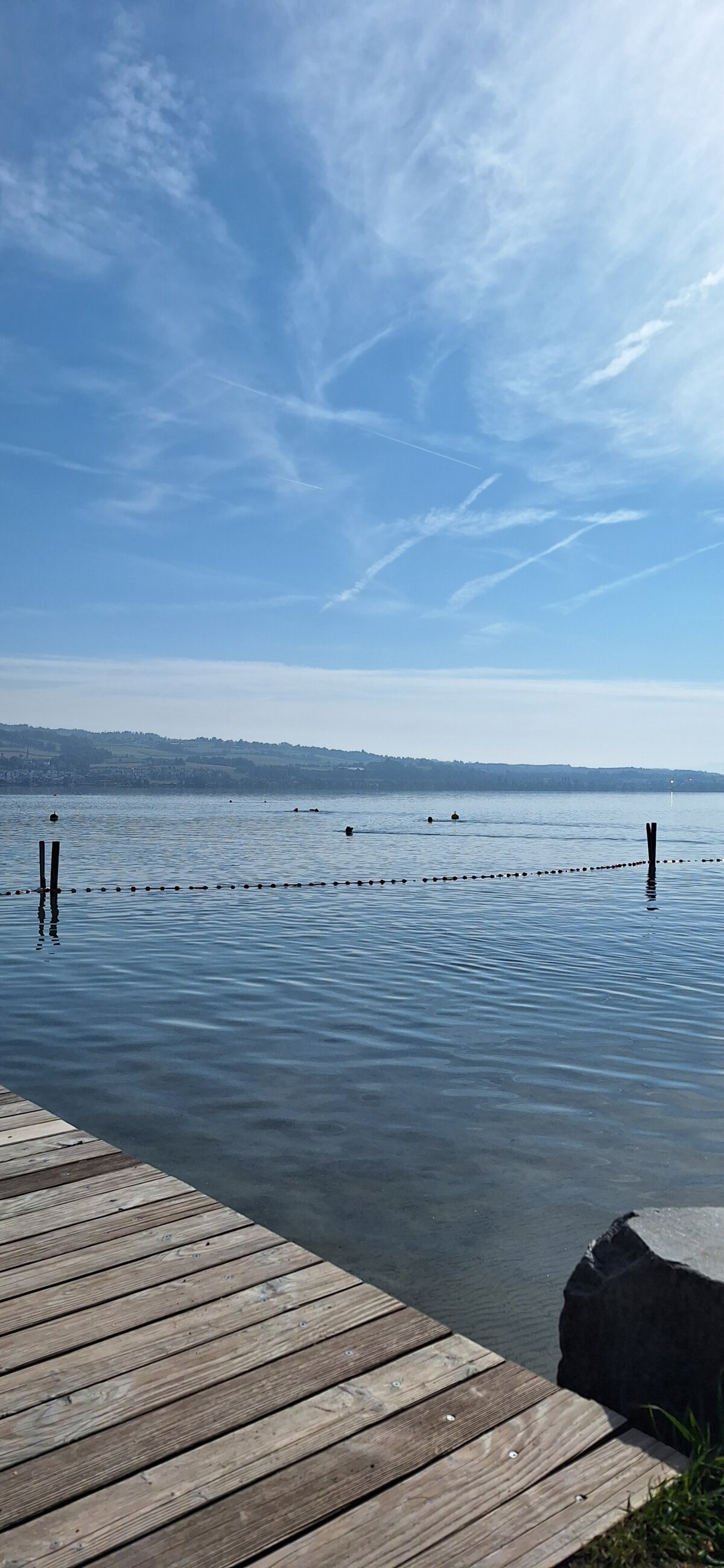 Seeschwimmen